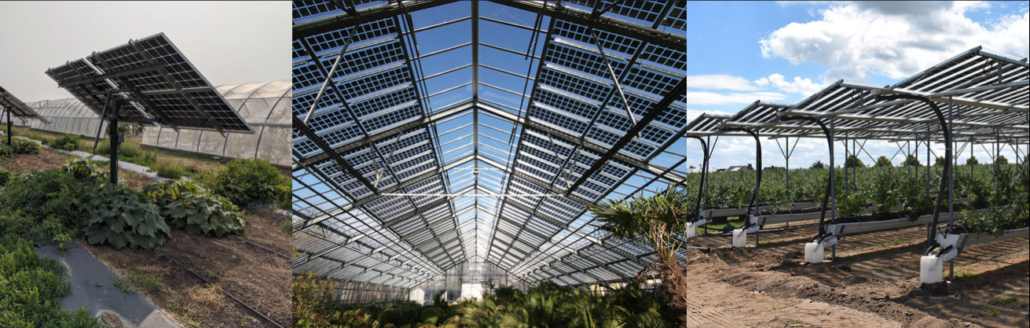 Agrivoltaics – Butterfly Power