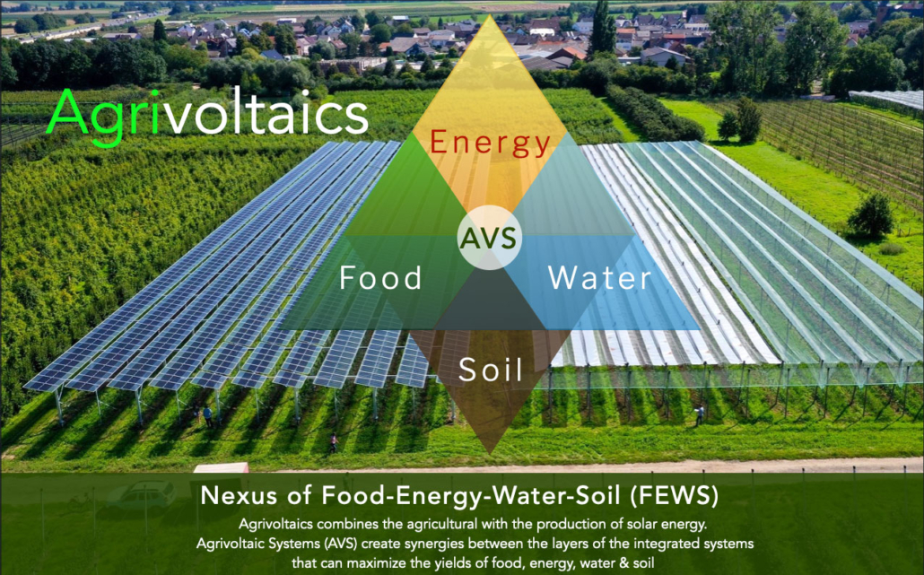 Agrivoltaics – Butterfly Power